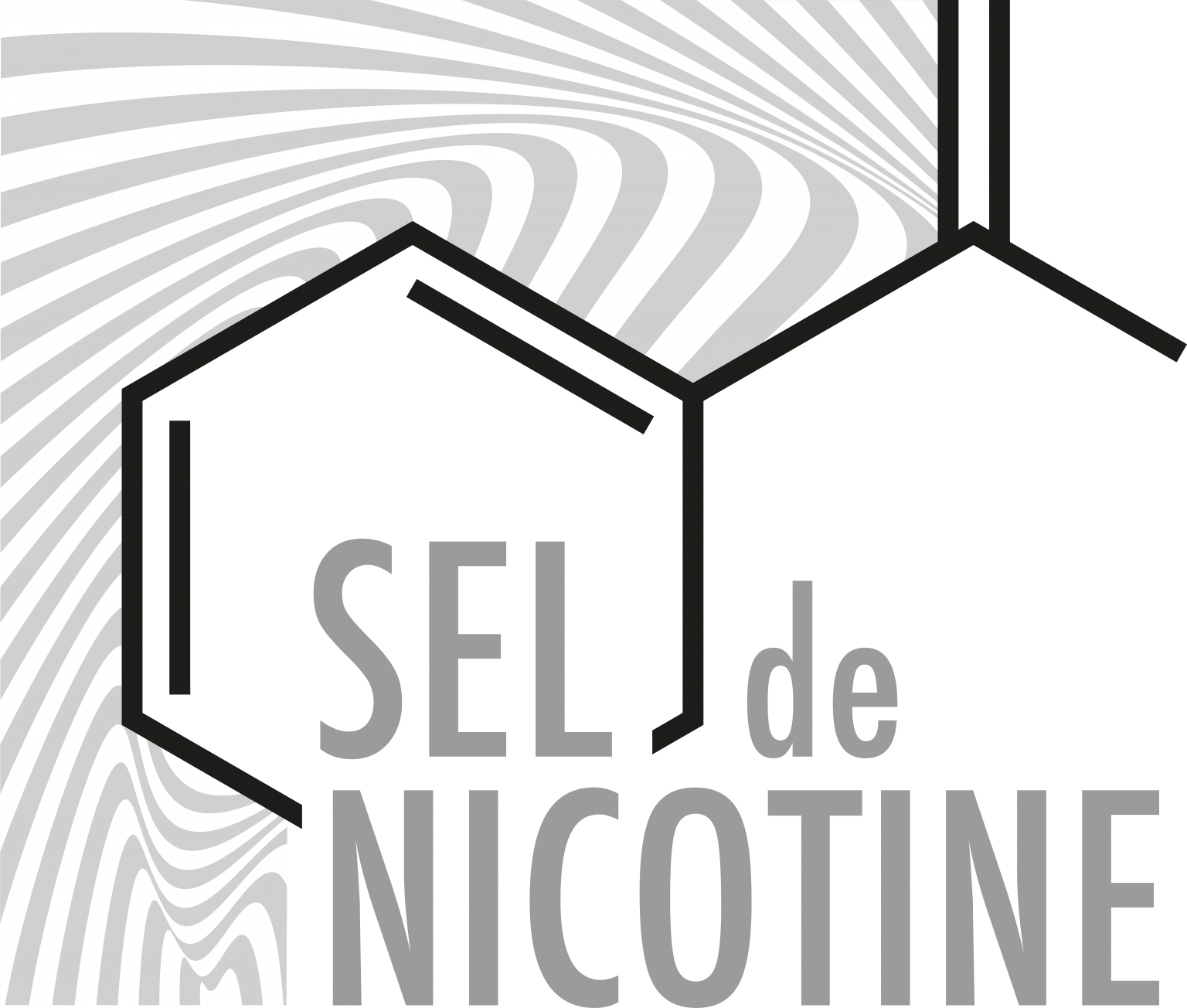 Gammes de E-Liquides – Silver Cig